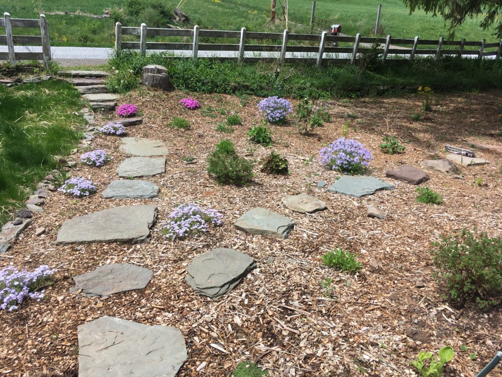 What's Happening at The Uplands | 2020 Garden Expansion