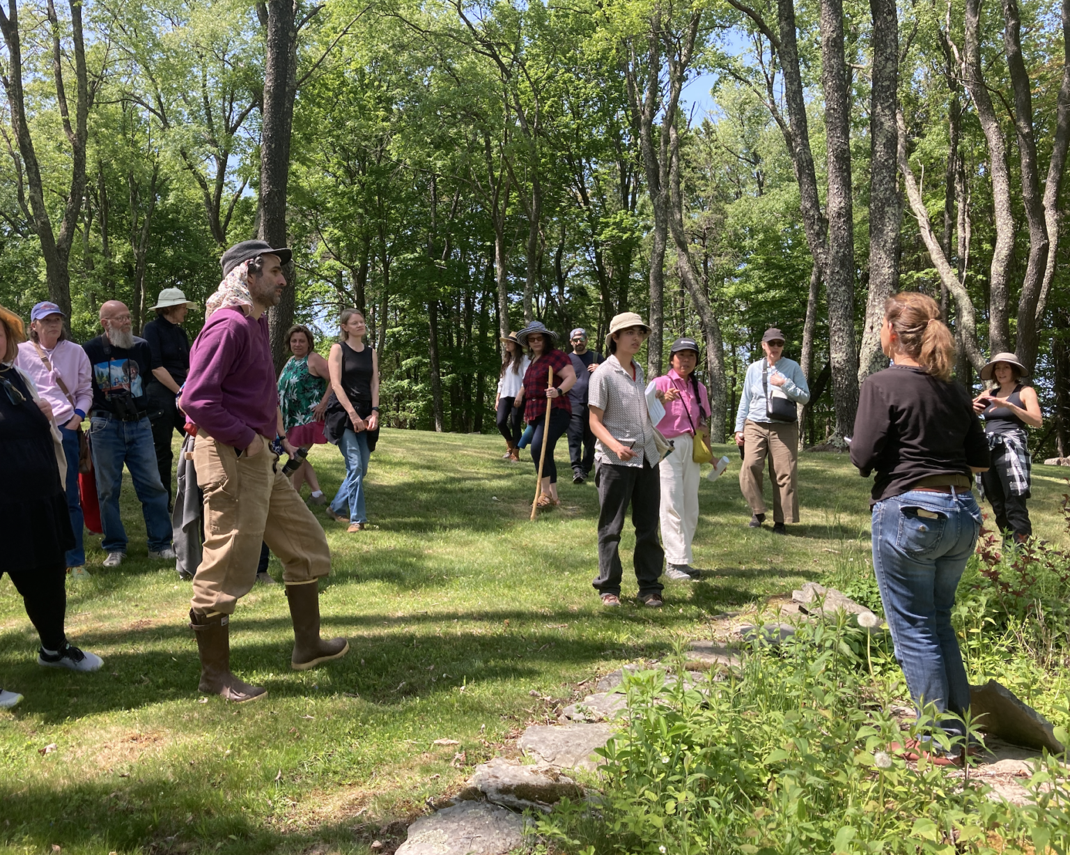 Community Radical Plant Walk - Uplands
